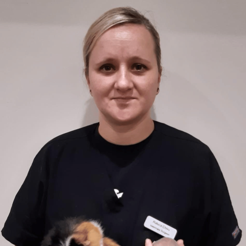 Our Team - Chorley Vets