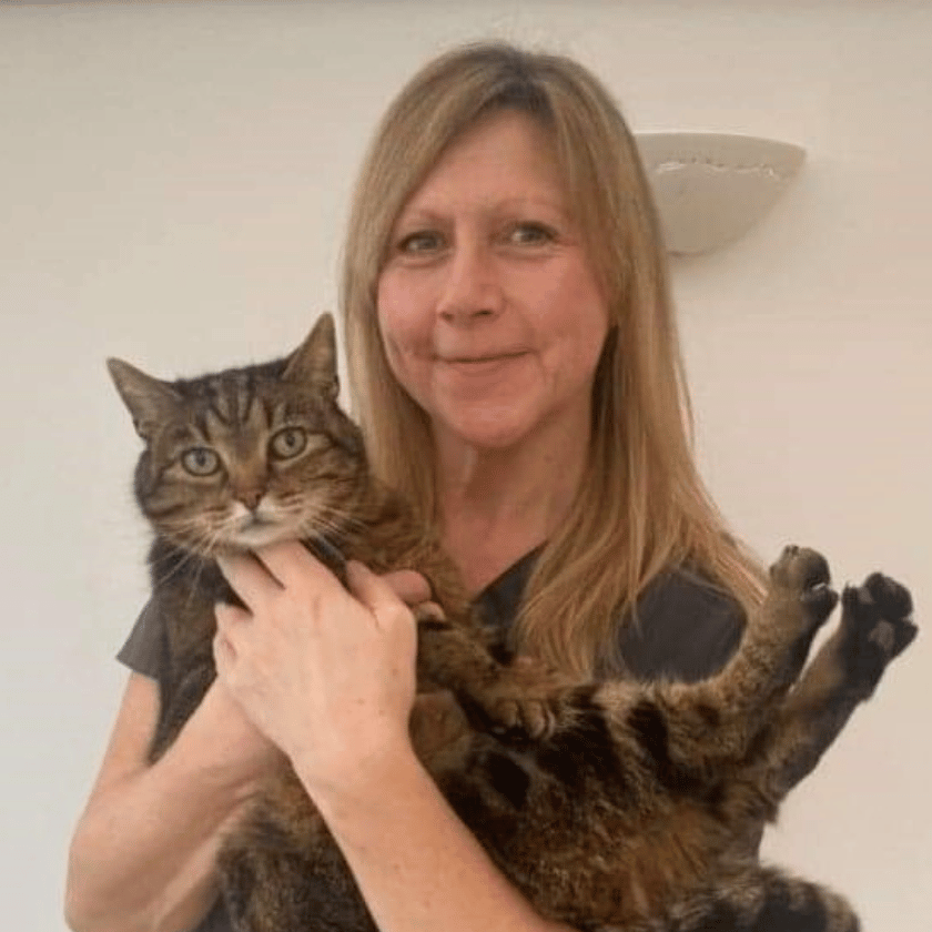 Our Team - Chorley Vets