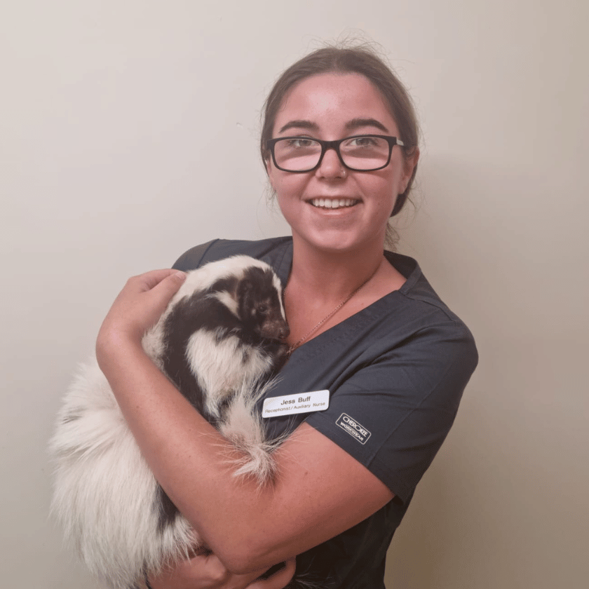 Our Team - Chorley Vets